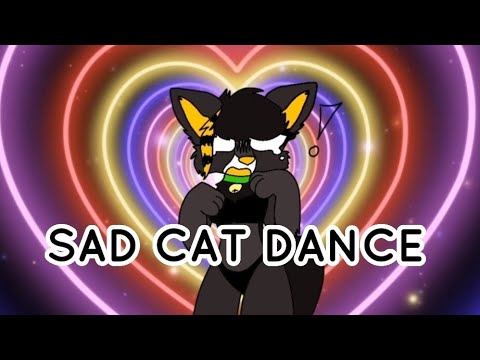 Sad Cat Dance Youtube
