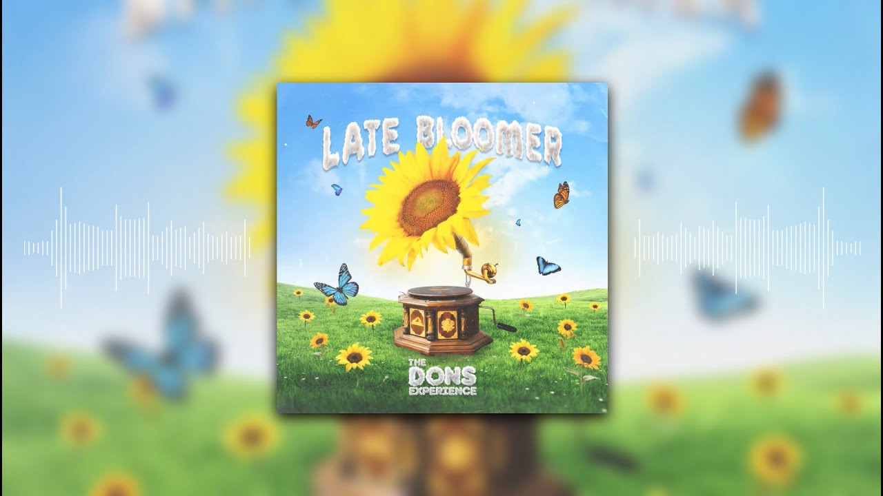 Late Bloomer Visualizer Youtube