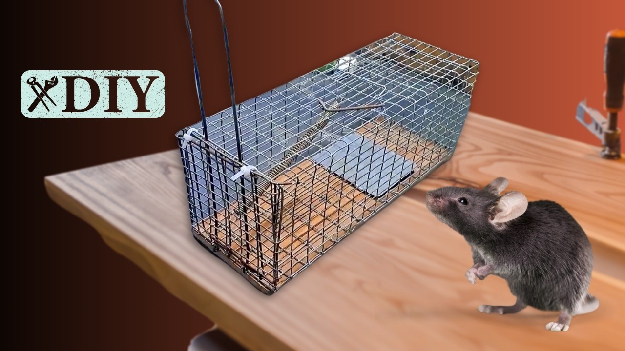 Diy Non Lethal Cage Trap Easy Build For Rats Mink Or Others Youtube