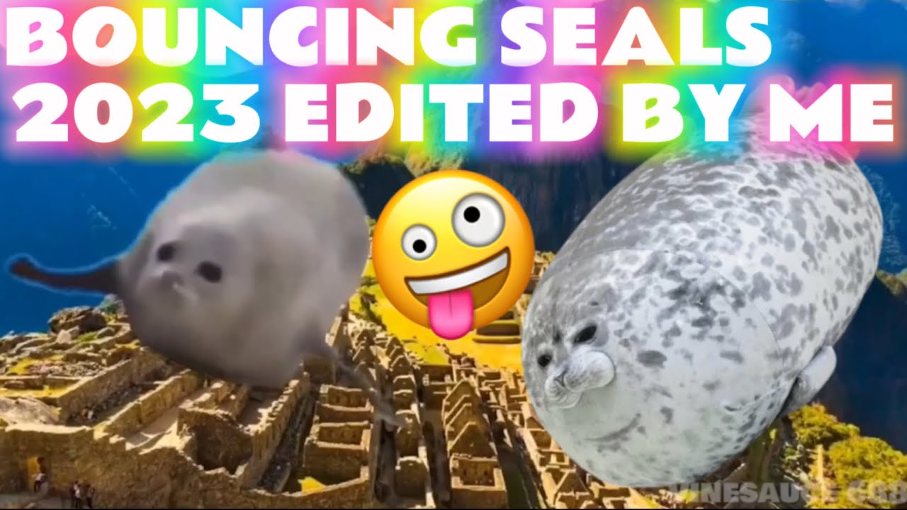 Bouncing Seals Ultimate Gif At Kristopher Chambers Blog