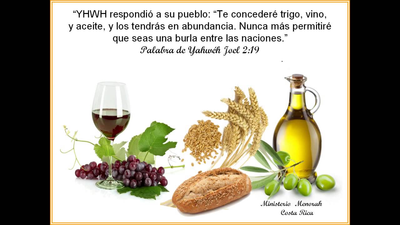 Mini Mensaje Vino Aceite Y Trigo Ministerio Menorah Costa Rica Youtube