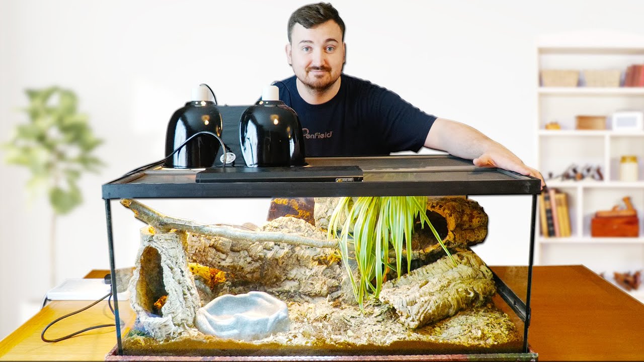 Ball Python Setup For Beginners Youtube