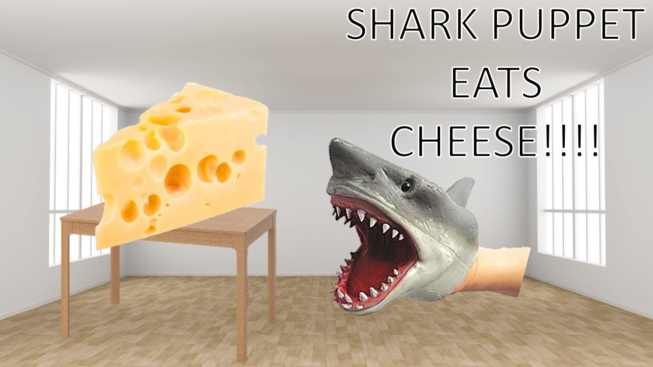 Shark Puppet Eat S Cheese Youtube