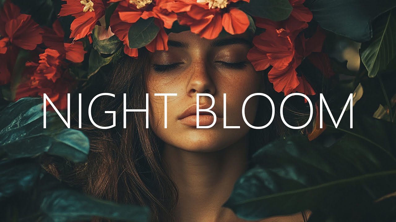 Dabin Blanke Lø Spirit Night Bloom Lyrics Culture Code Remix