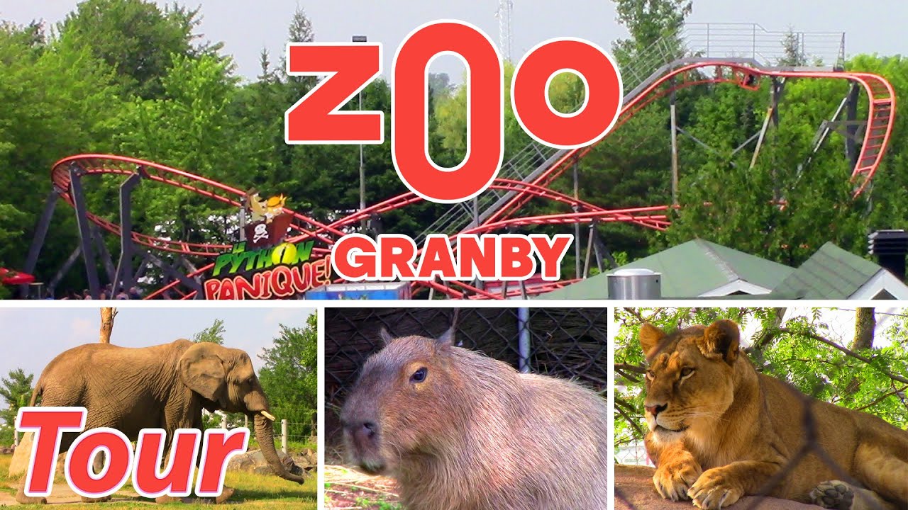 Granby Zoo Near Montréal Tour Youtube