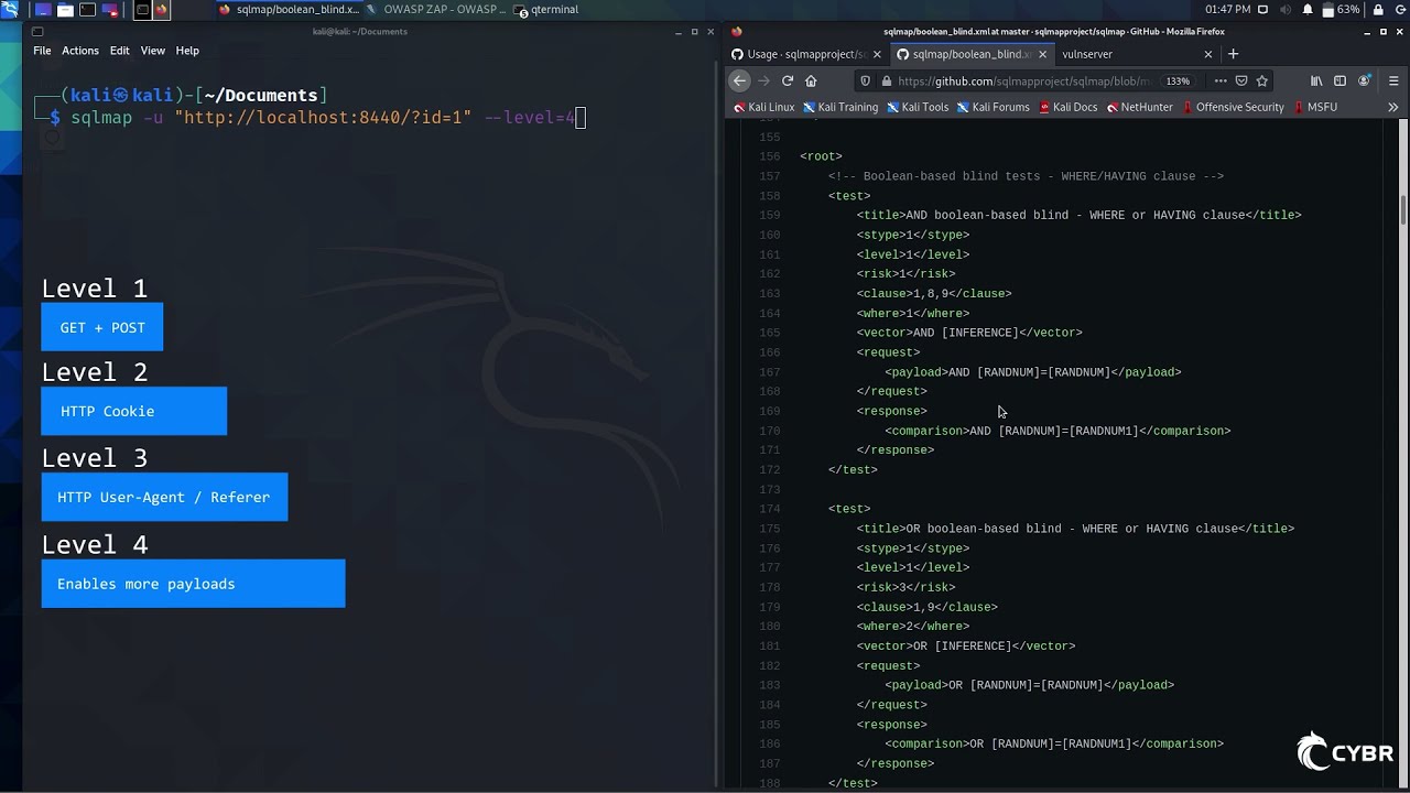 Sqlmap S Risk And Level Options Explained Sql Injections Youtube