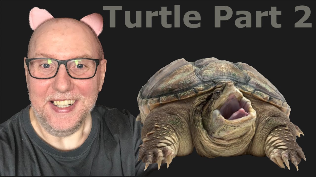 Turtle 2 Youtube