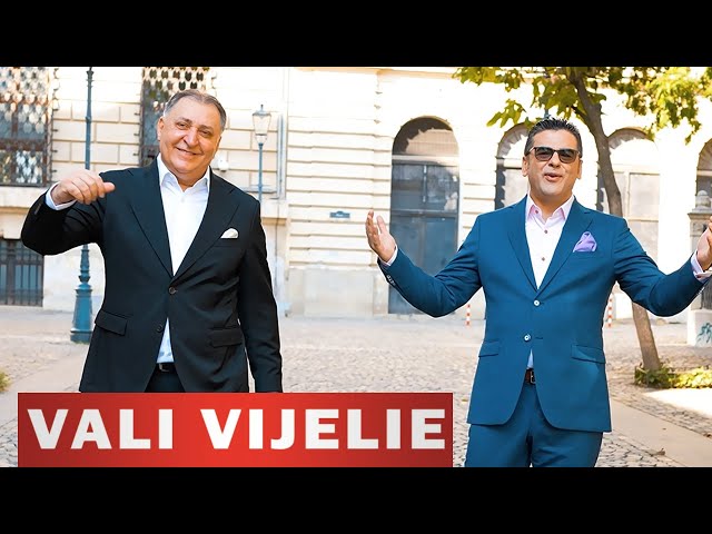 Vali Vijelie Stelu Pandelescu - Lasa, lasa viata mea (Muzica de Petrecere) 2023 - 2024