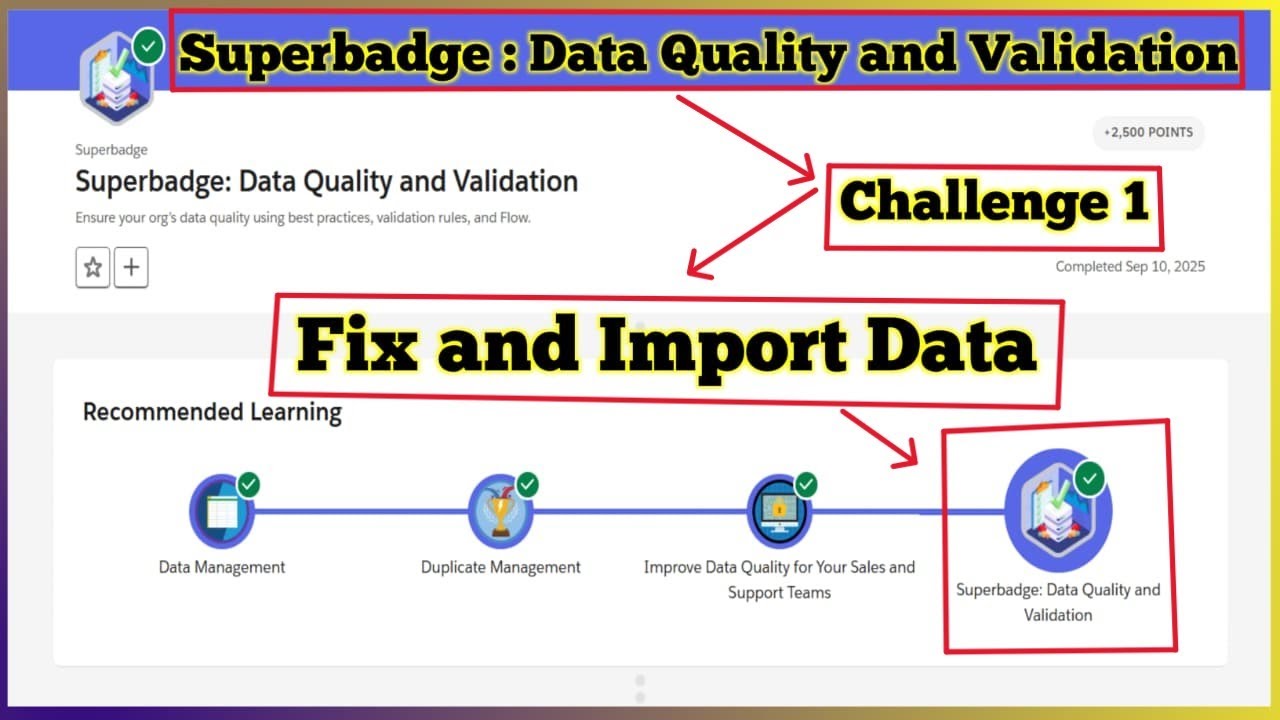 Fix And Import Data Superbadge Data Quality And Validation