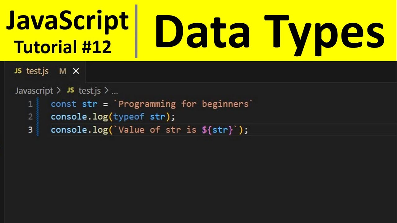 Javascript Tutorial 12 Data Types In Javascript Programming For