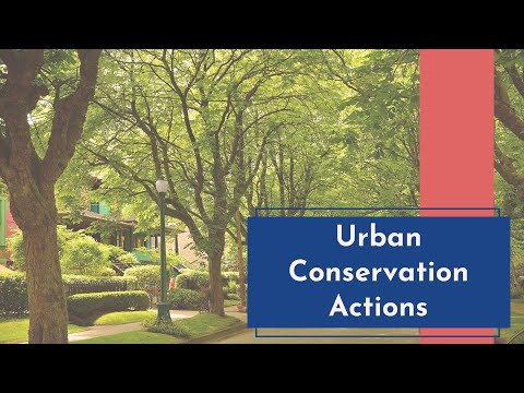 Urban Conservation Action Youtube