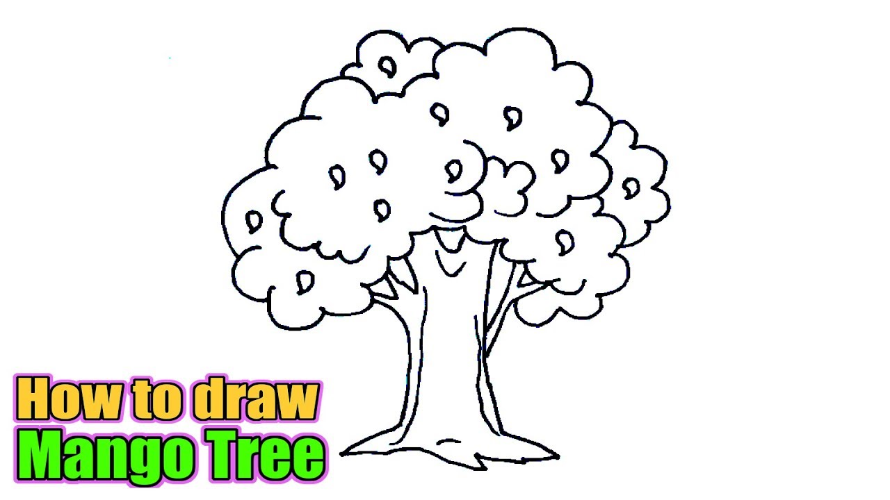 Mango Tree Drawing Simple At Billy Dendy Blog