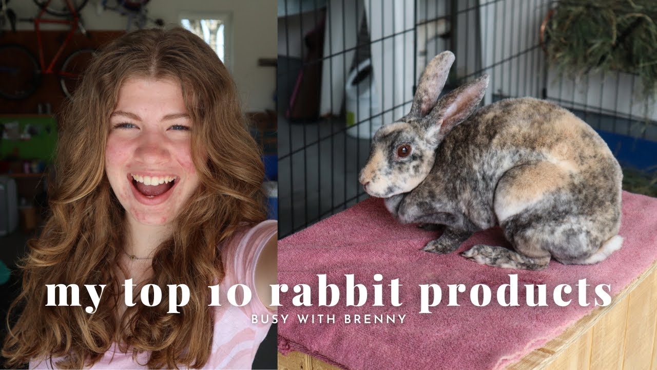 My Top 10 Favorite Rabbit Products Youtube