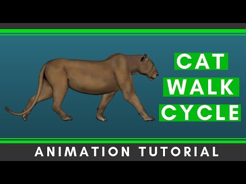 Cat Walk Cycle Animation Tutorial Step By Step Youtube