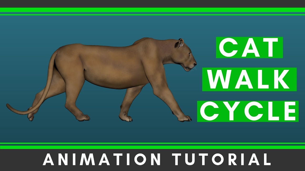Cat Walk Cycle Animation Tutorial Step By Step Youtube
