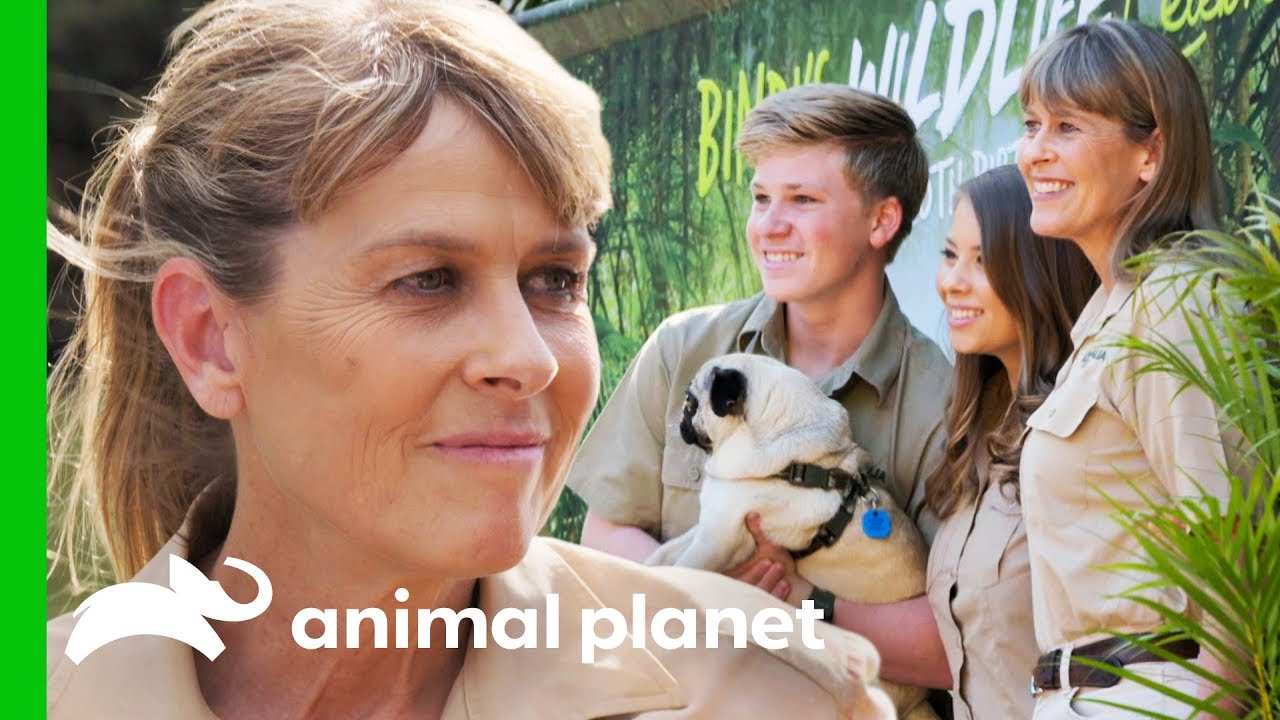 Terri Irwin Carries On Her Late Husband Steve Irwin S Legacy Youtube