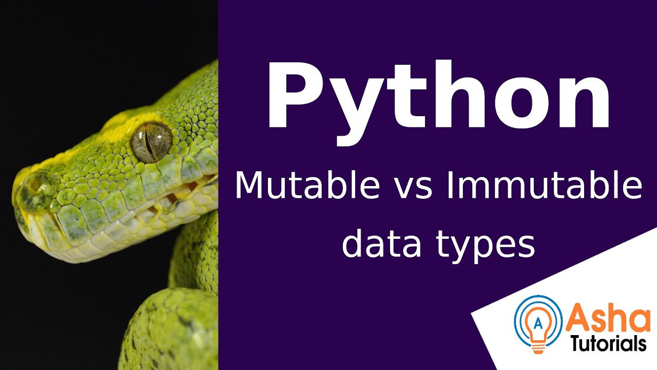 Python Mutable Vs Immutable Data Types Youtube