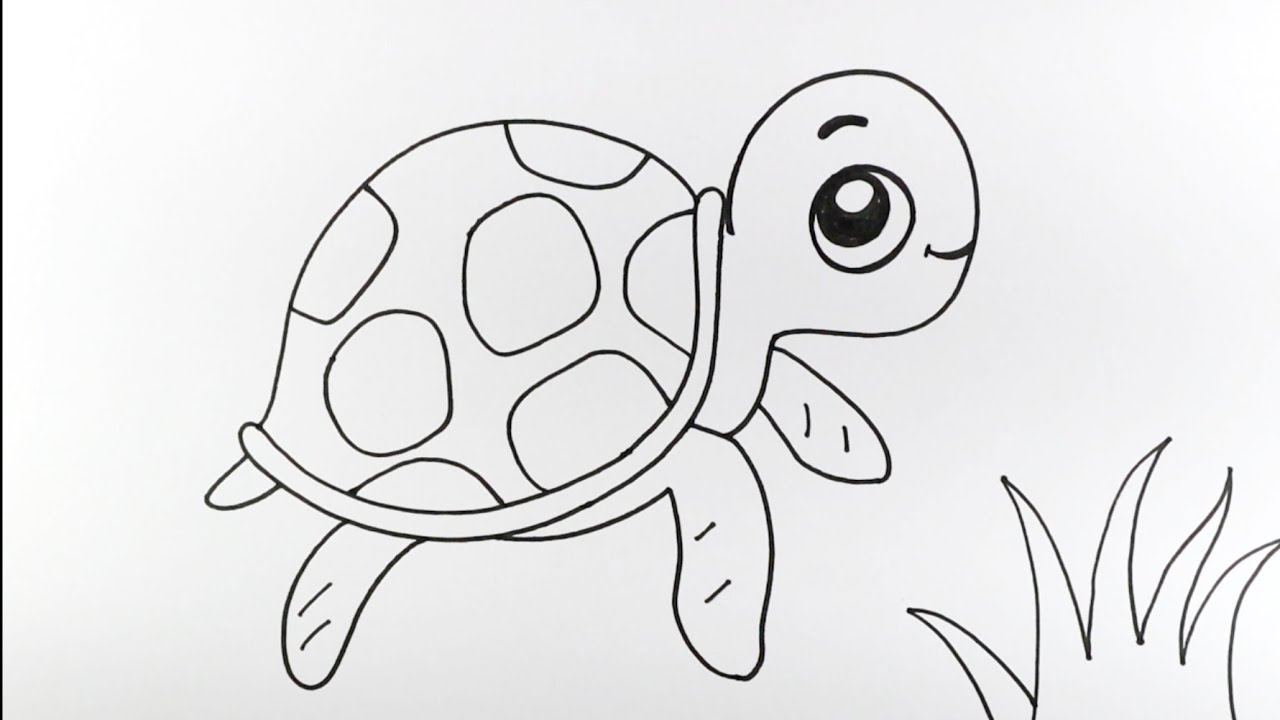 Cute Tortoise Drawing Easy Turtle Youtube
