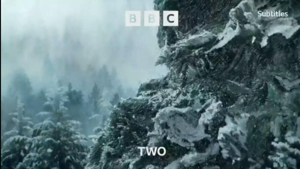 Bbc Two Uk Continuity 27th December 2022 Youtube