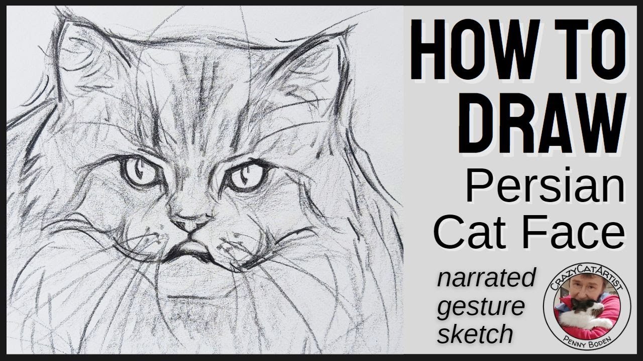 How To Draw A Persian Cat Doll Face Tongue Out Front View Classic