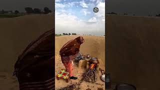 Morning Routine Of Desert Women Old Culture Of Punjab Pakistan ...