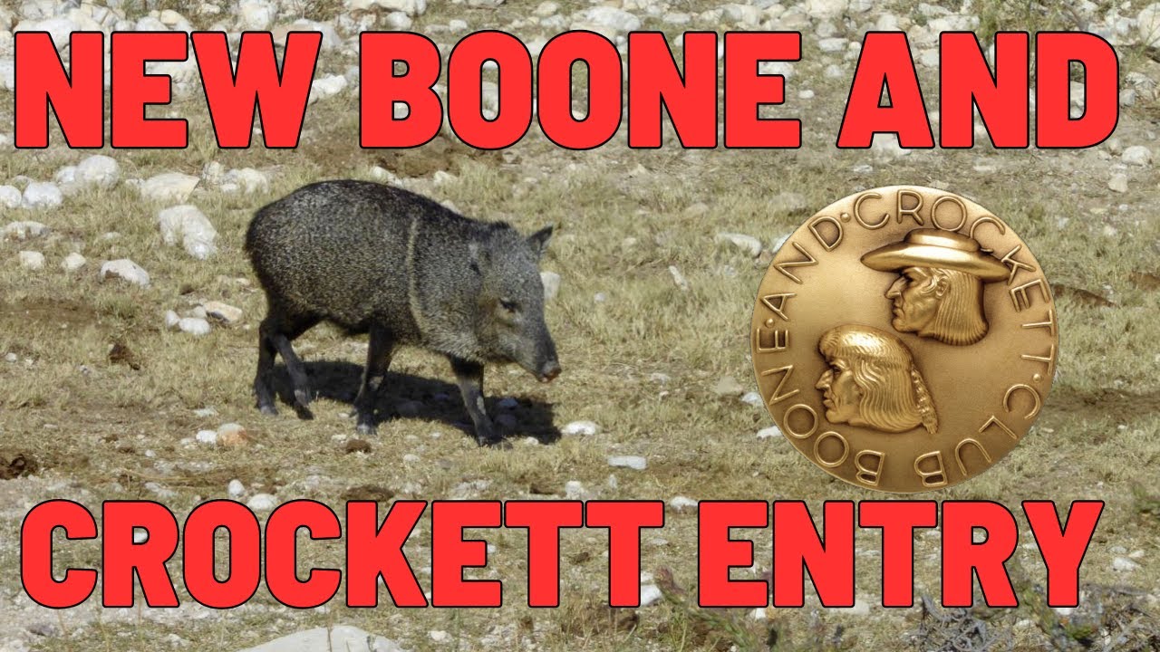 Boone And Crockett S Newest Animal Youtube