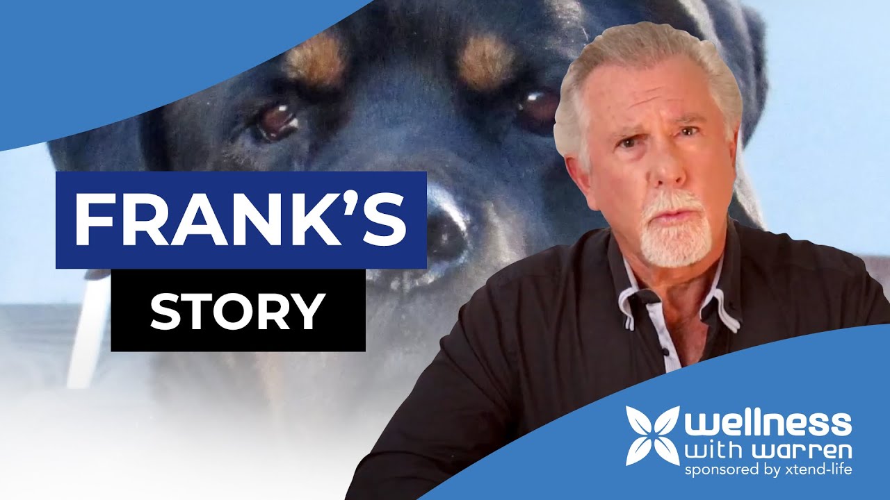 Our Rodent Breeding Setup Housepetscare