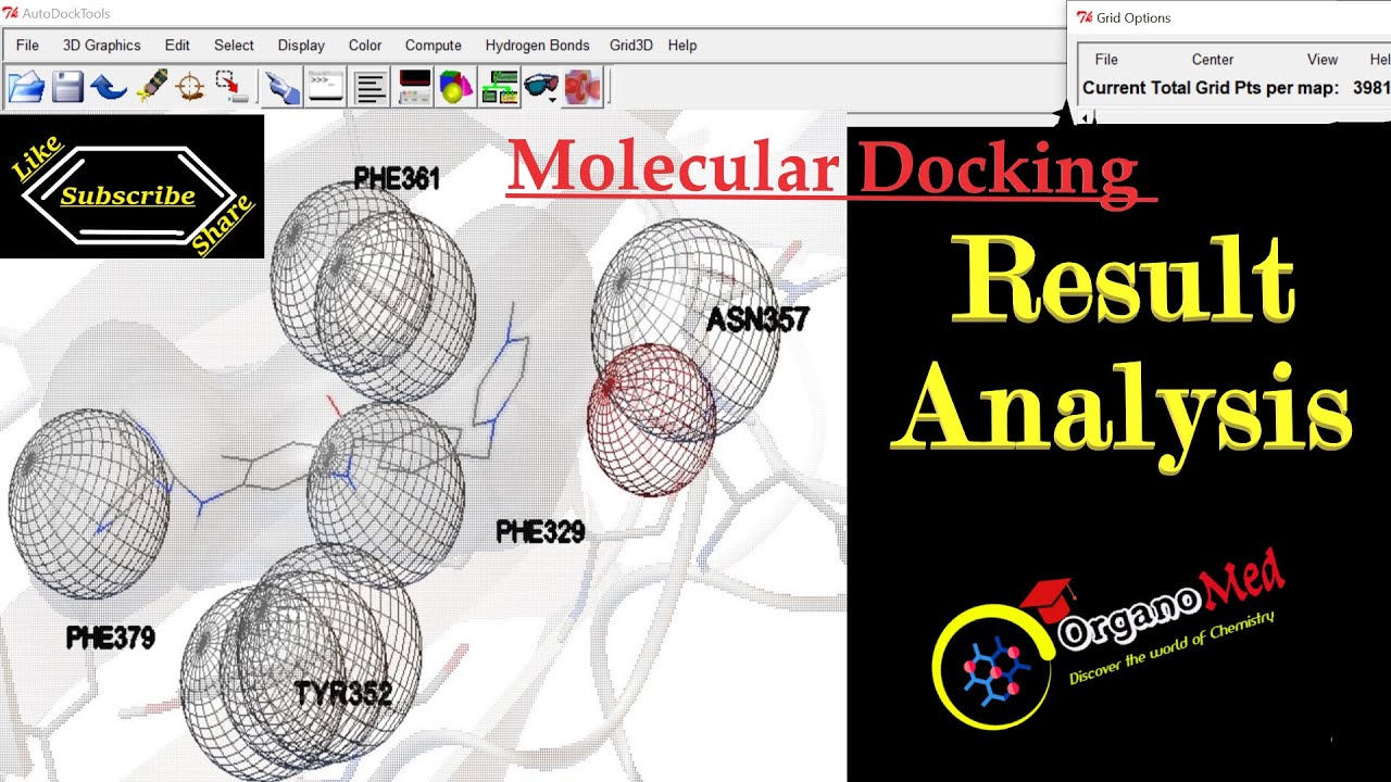 Docking Result Analysis Via Autudock Procedure Autodock Series