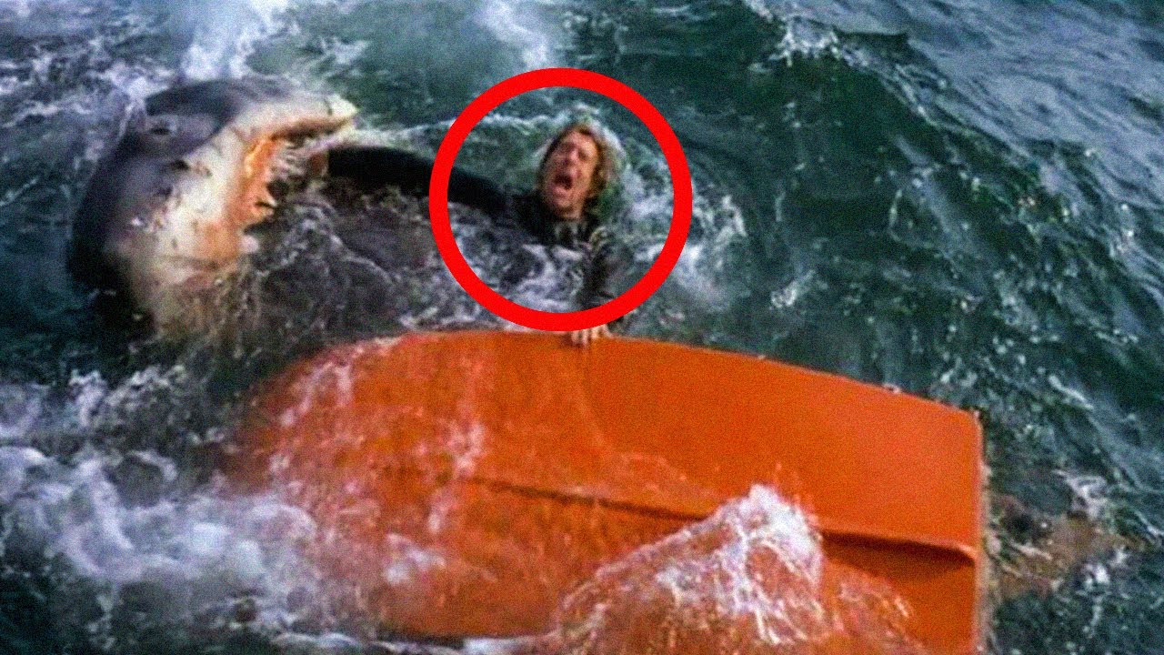 Horrifying Shark Encounters Caught On Camera Youtube