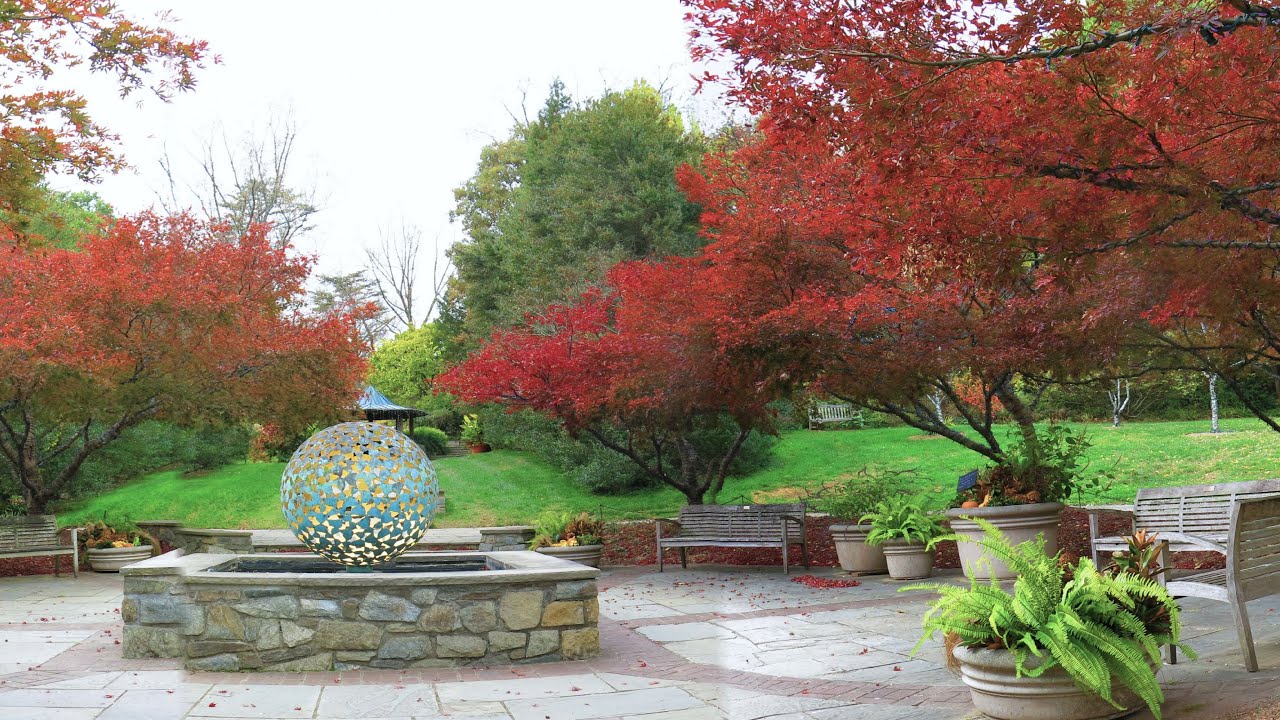 2025 10 28 Brookside Gardens In Fall Color Youtube