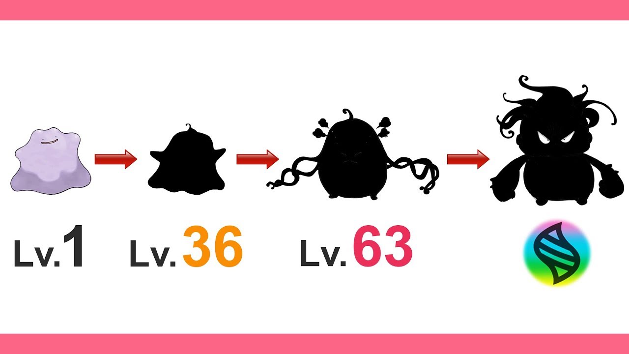 Pokemon Ditto Evolution