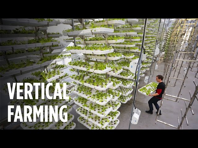Vertical Farming Factories Delivering Ecoproduce
