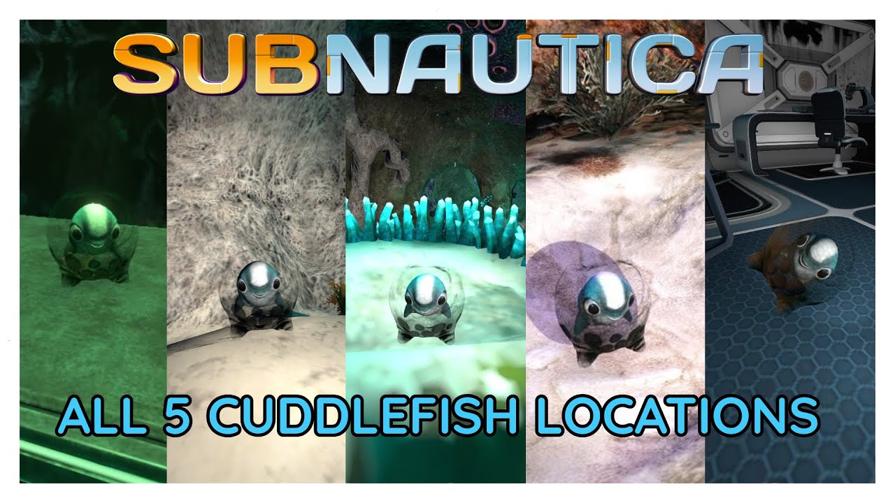 All 5 Cuddlefish Egg Locations Subnautica Guide Youtube