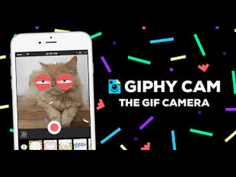 Giphy Cam Quick Look Youtube