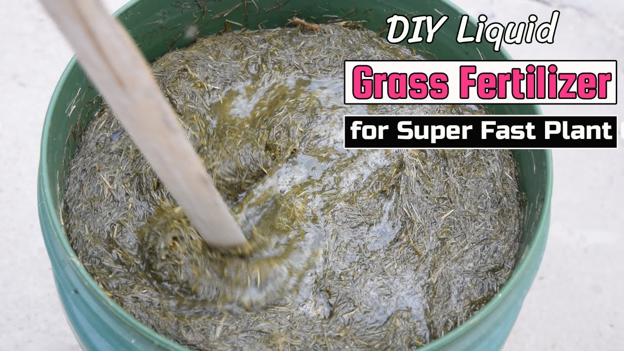 Homemade Liquid Fertilizer For Grass Homemade Ftempo
