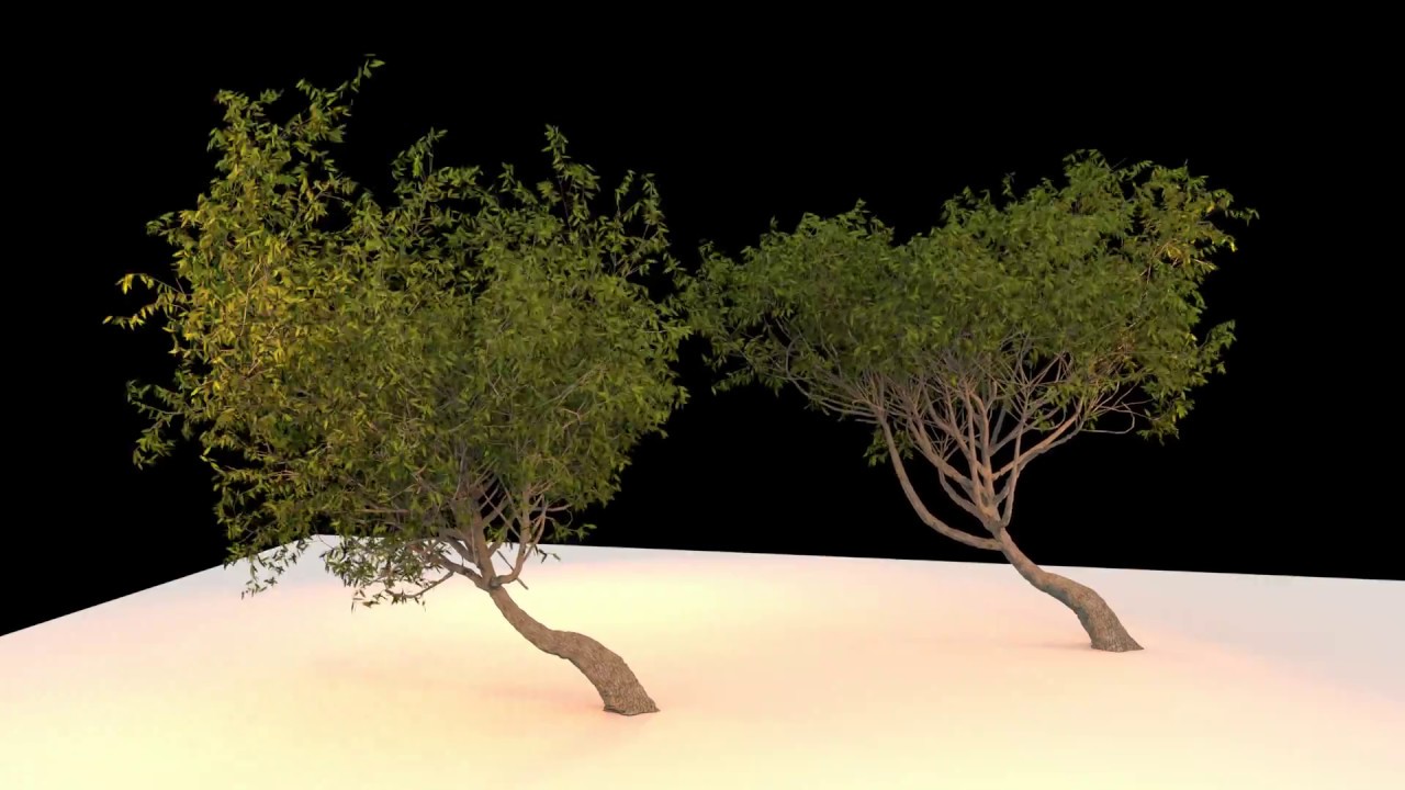 Procedural Tree Growing Houdinifx Youtube
