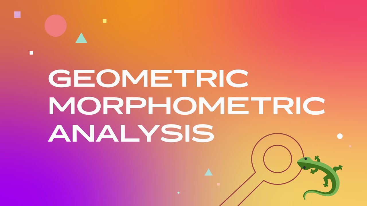 Geometric Morphometric Analysis Youtube
