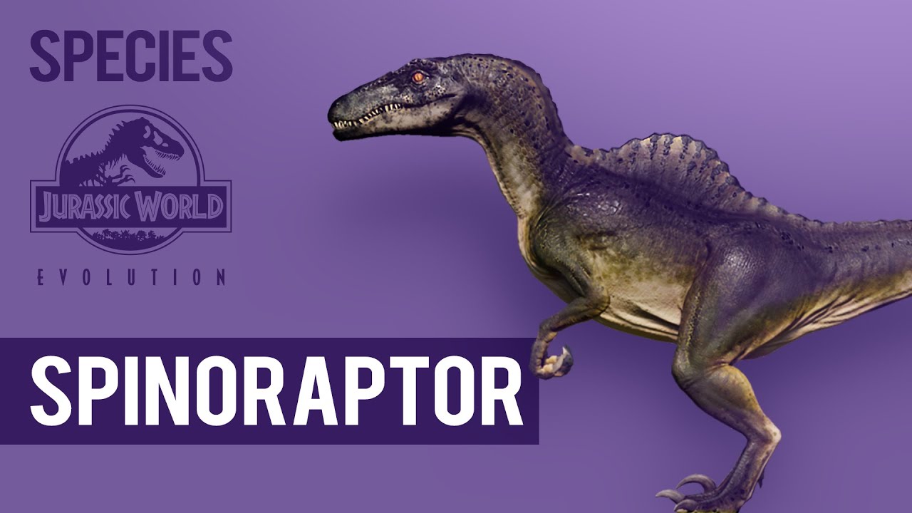 Spinoraptor Species Profile Jurassic World Evolution Youtube