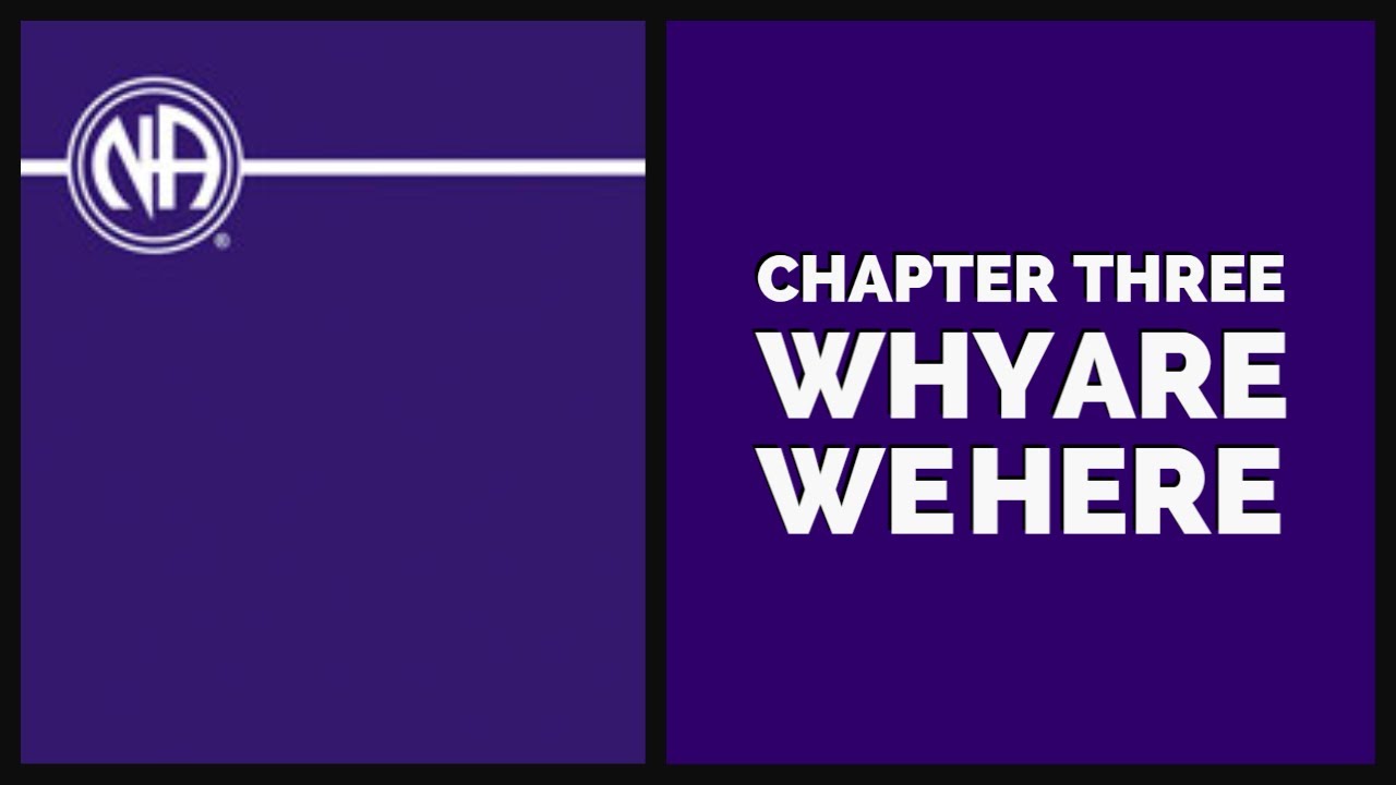 Na Basic Text Chapter 3 Why Are We Here Youtube