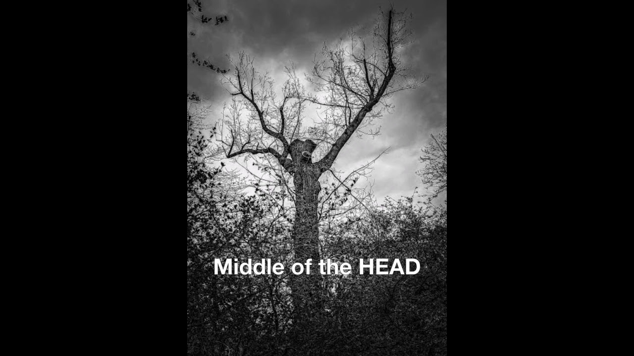 Throwing A Head Loop At Bobby Richardson Blog