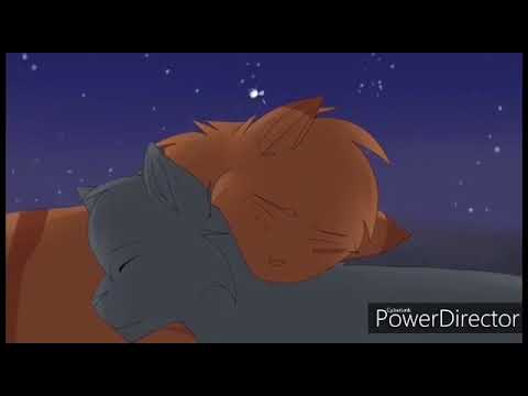 Bluestar S Life Youtube