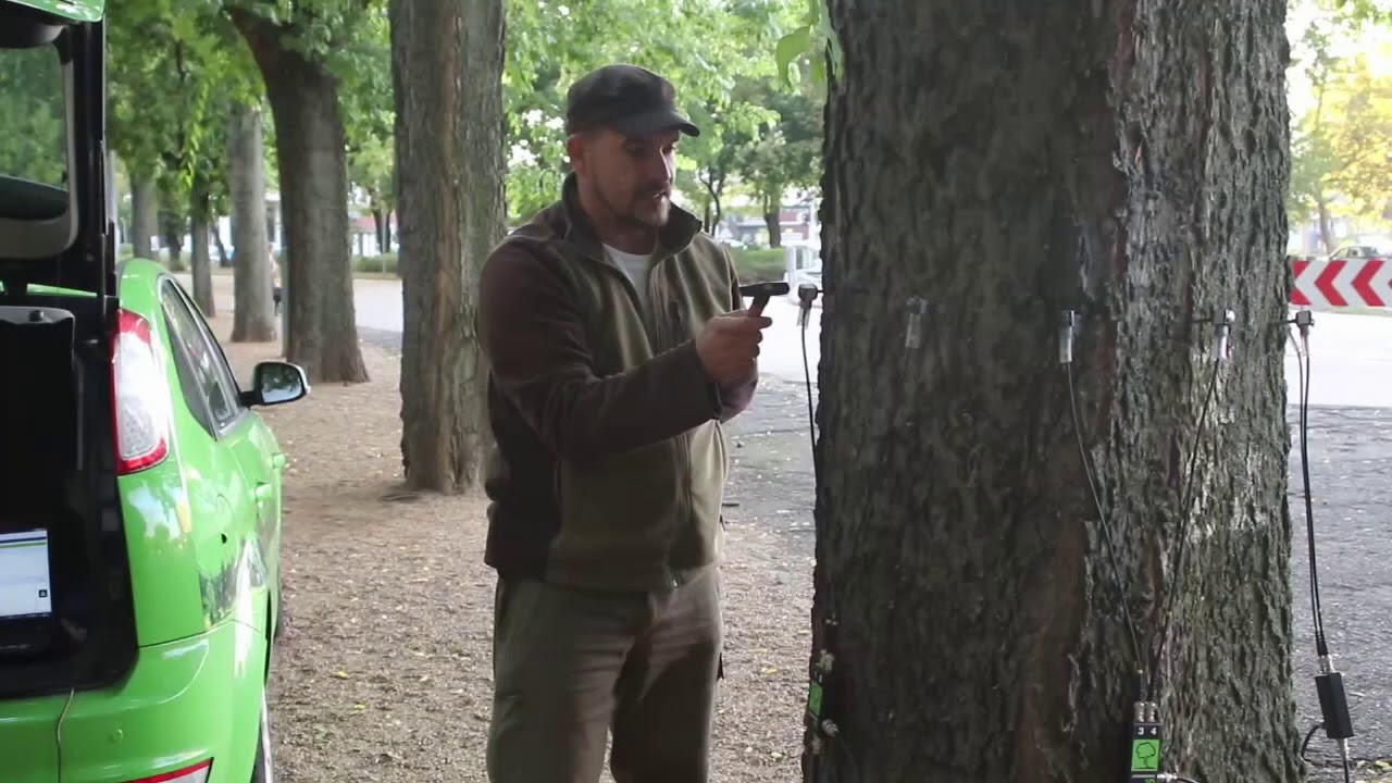 Fokopp Youtube