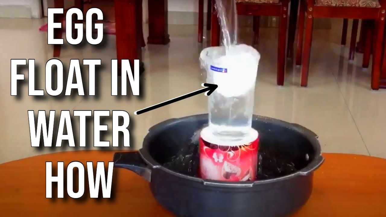 How To Make Egg Float In Water Science Experiment Bernoulli S
