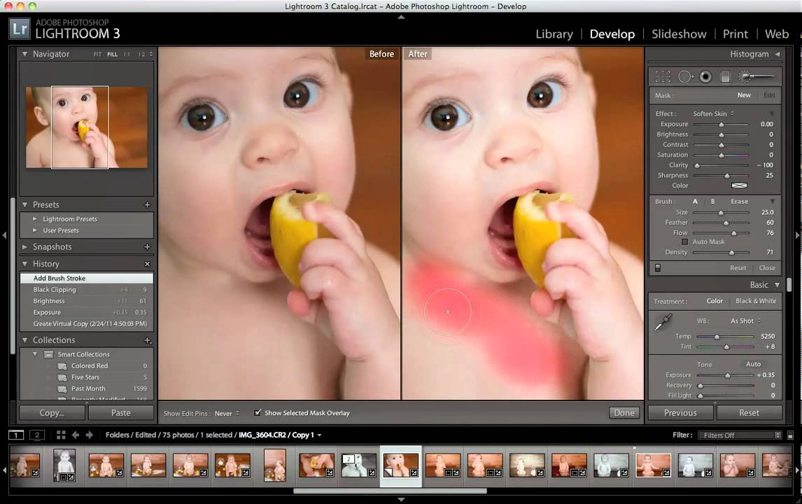 Lightroom Brush Tutorial Mp4 Youtube