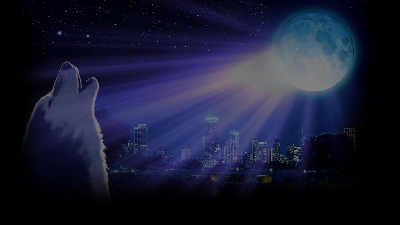 Best 20 Steam Wolf Backgrounds Youtube