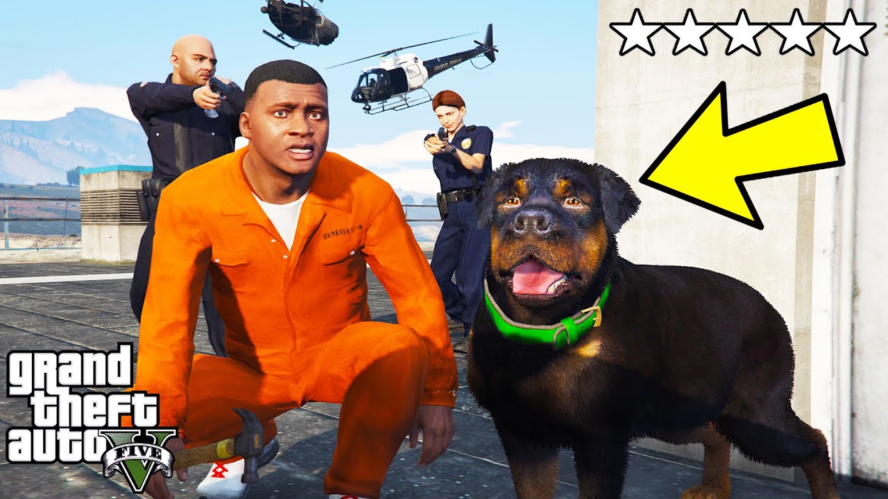Chop Saving Franklin From Prison In Gta 5 Youtube