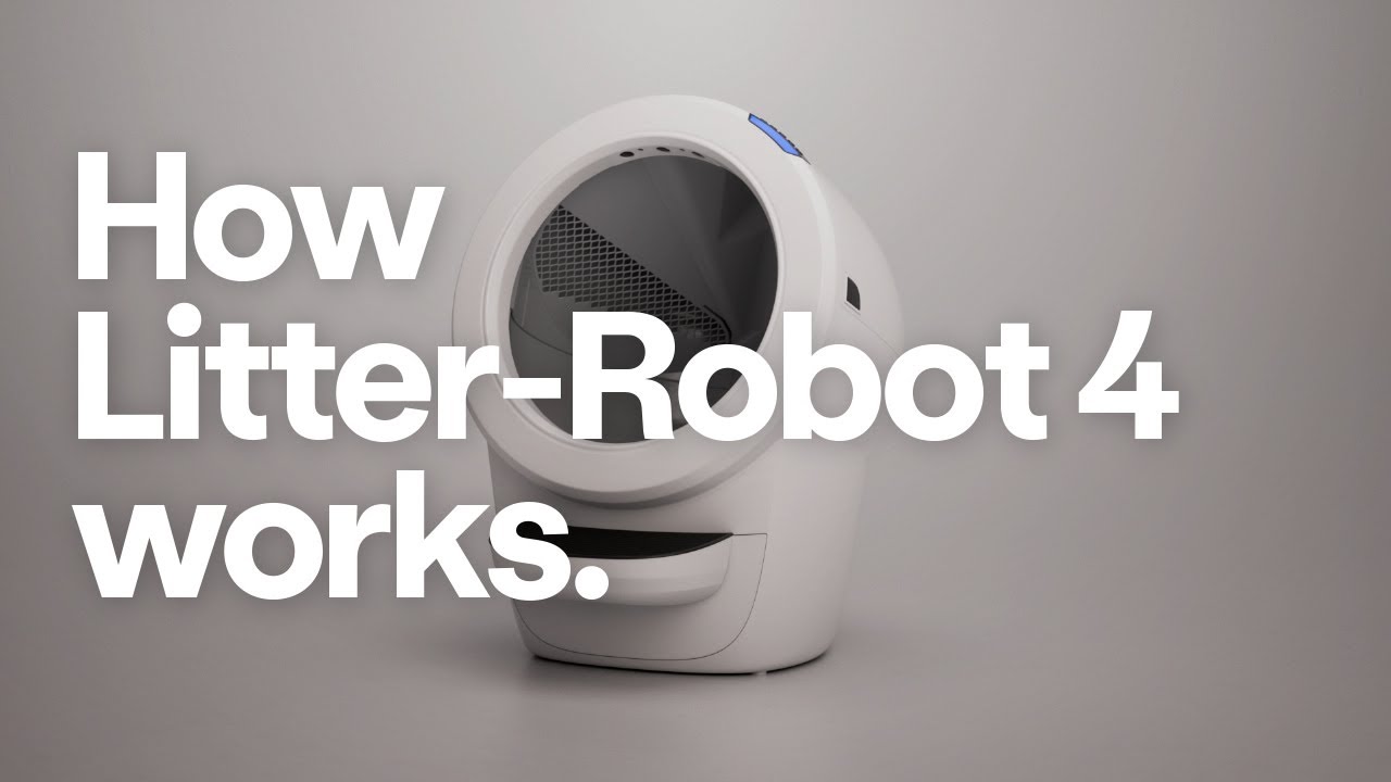 How Litter Robot 4 Works Self Cleaning Litter Box Youtube