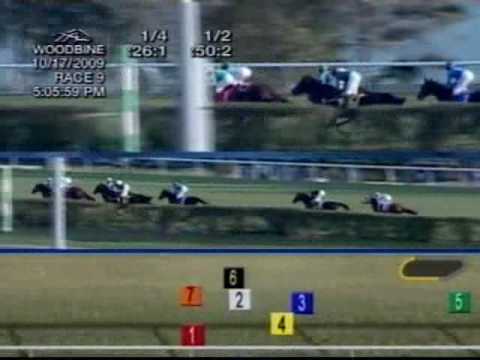 2009 E P Taylor Stakes Youtube
