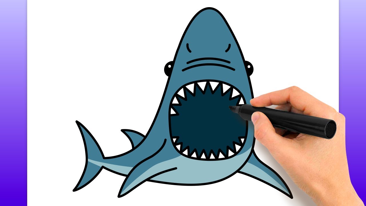 Cómo Dibujar Un Gran Tiburón Blanco Fácil Tutorial De Dibujo Paso A