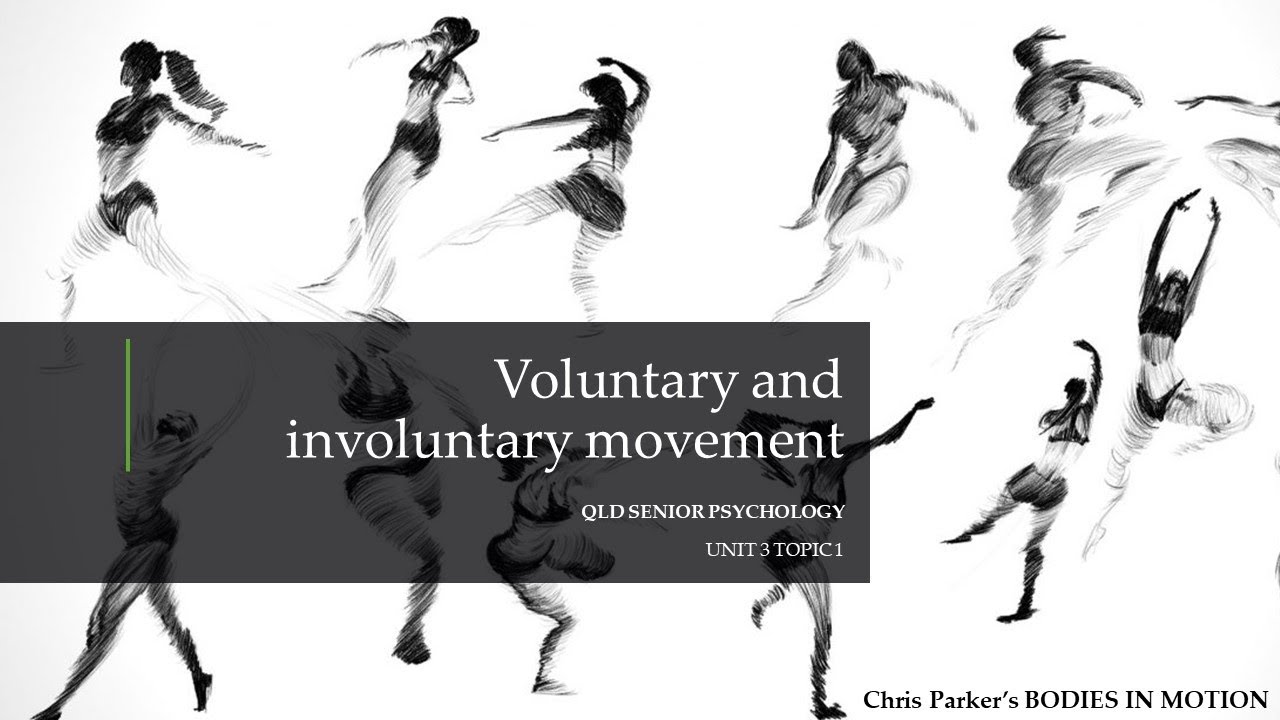 Voluntary And Involuntary Movement Youtube